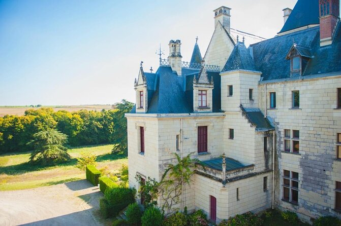 Picnic in the Vines - A Unique Loire Wine Experience - Key Points