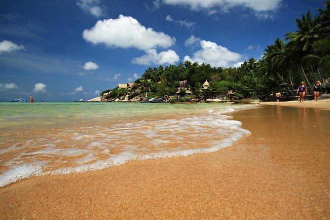 Pig Island Tour by Speedboat with Snorkeling - Key Points