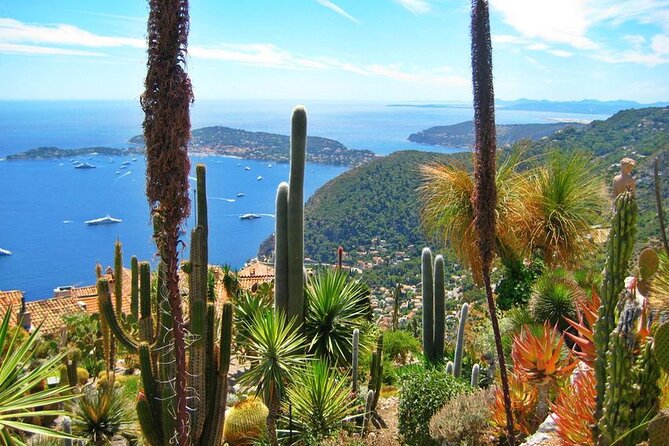 Private Customized French Riviera Tour From Port Villefranche 8H - Overview of the Tour Experience