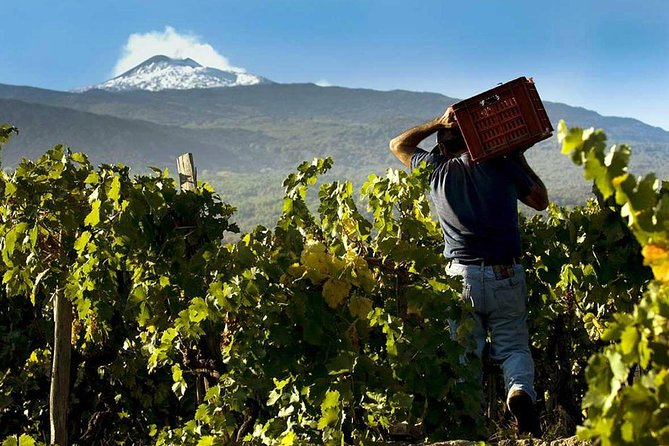 Private Etna Tour From Catania + Lunch at Etna Winery - Mount Etna Volcano Exploration
