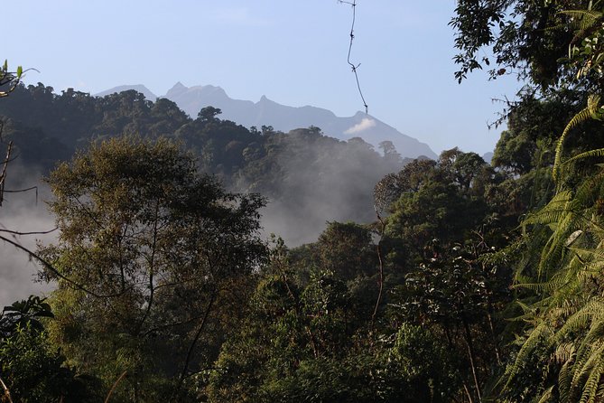 Private Full-Day Mindo Cloud Forest,Butterfly Farm, Chocolate Tour Bird Watching - Tour Overview