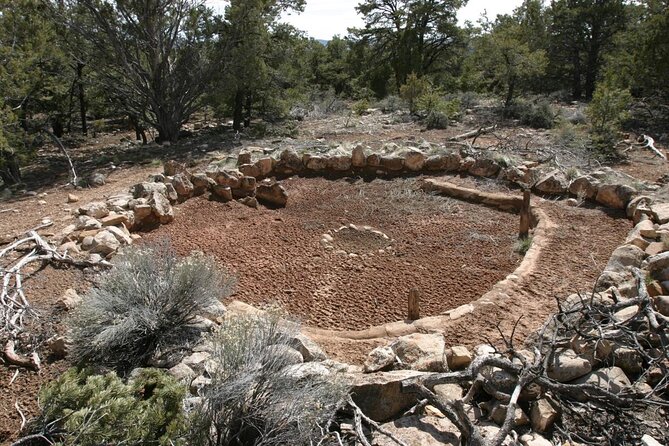 Private Grand Canyon Sightseeing Tour from Williams Tusayan GCV - A Detailed Look at the Private Grand Canyon Sightseeing Tour from Williams Tusayan GCV