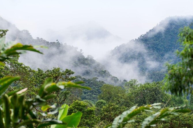 PRIVATE Mindo Tour With Birds, Butterflies, Zip-Line, Chocolate - Key Points