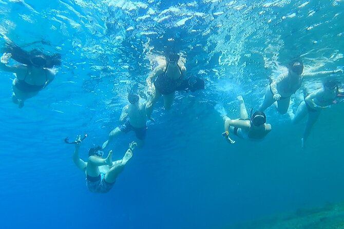 Private Mykonos Nature Tour by Minibus - Key Points