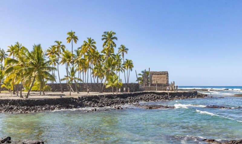 Private Shore Excursion Kona Coffee & National Historic Park - A Complete Look at the Kona Coffee & Historic Park Tour
