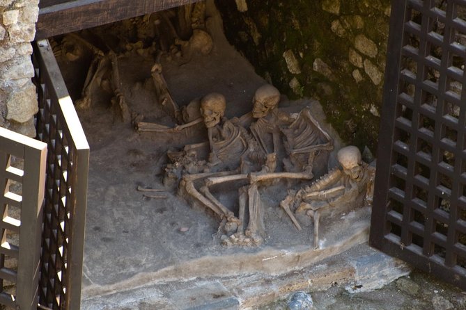 Private Tour: Day Trip Excursion to Herculaneum, Positano and Sorrento - Key Points