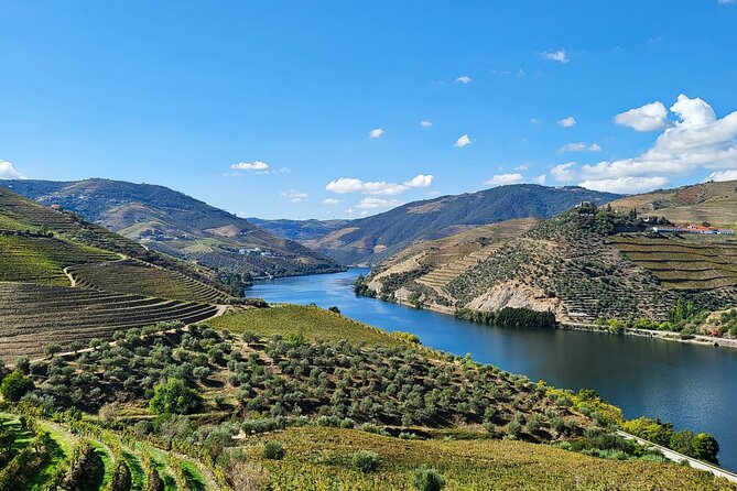 Private Tour Through the Douro Valley (Wineries + Boat) - About Your Stay