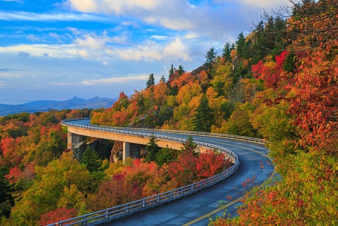 Private Waterfall and Blue Ridge Parkway Tour with a Naturalist - An In-Depth Look at the Private Waterfall and Blue Ridge Parkway Tour