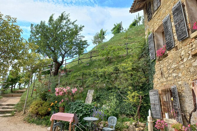 Prosecco Hills Wine and Food Tour From Venice and Treviso - Key Points