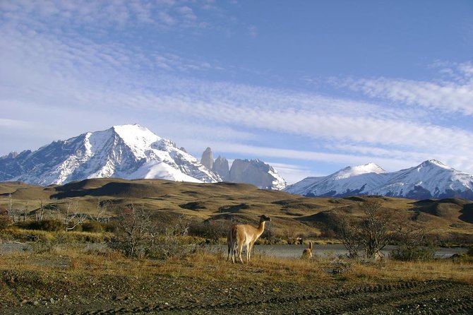 Puerto Natales: Full Day Tour Torres Del Paine - Tour Overview