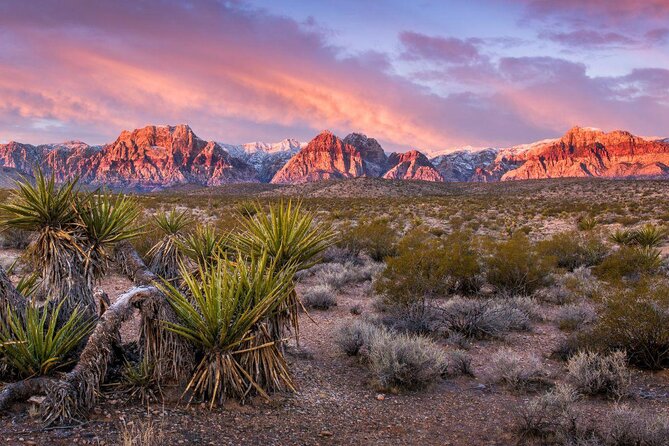 Red Rock Canyon eBike Half-Day Tour - What Is the Red Rock Canyon eBike Half-Day Tour?