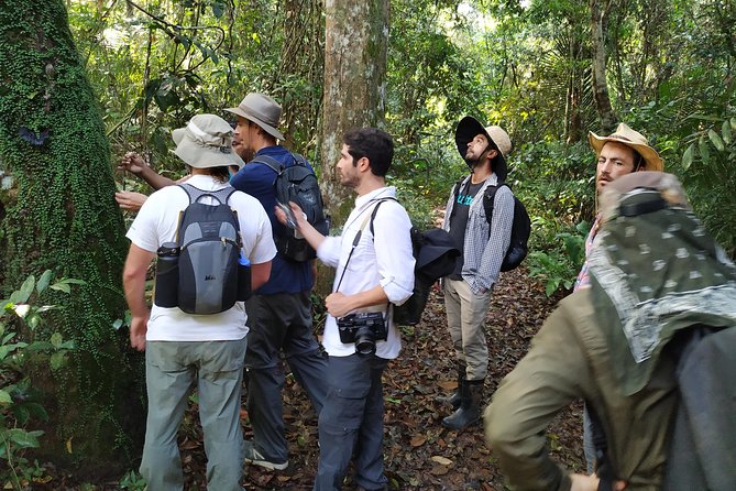 Regional Cruise in the Amazon - Key Points