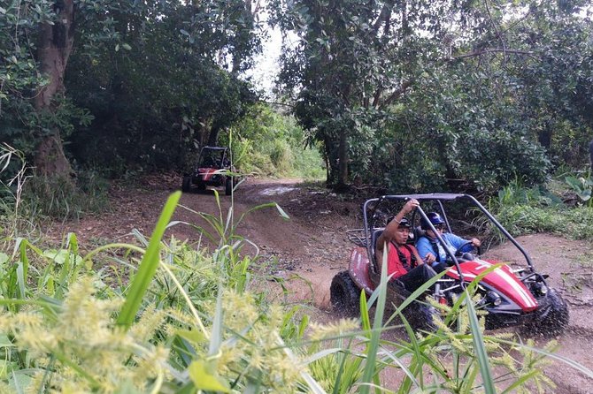 Roatan Wildlife Eco-Safari Adventure: Dune BUGGY, History & Beach - Tour Overview and Highlights