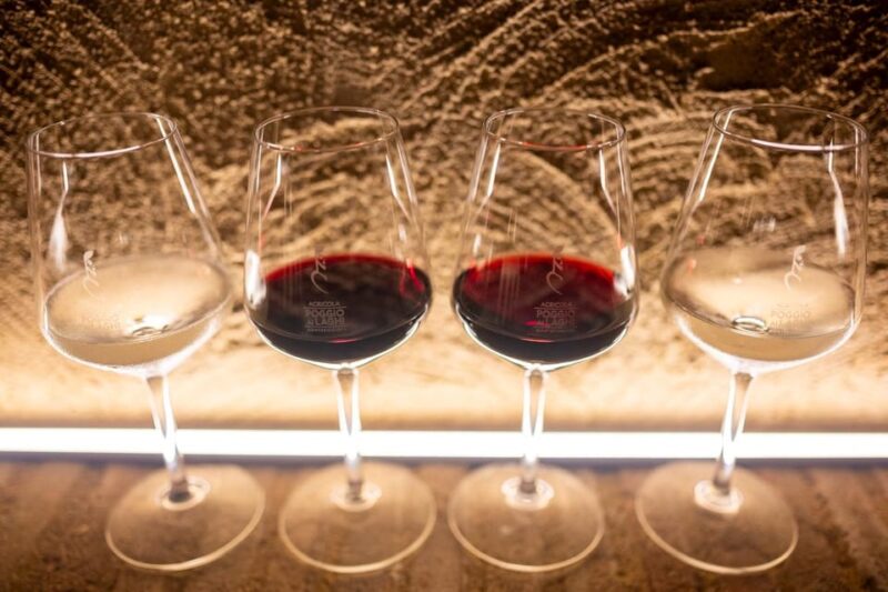 Romantic Dinner in the Vineyard of Poggio Ai Laghi Winery - Key Points