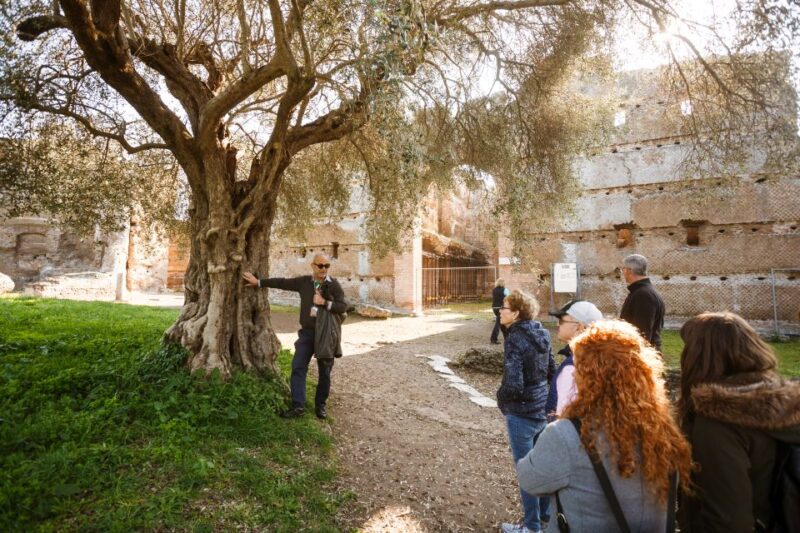 Rome: Hadrians Villa and Villa Deste Half-Day Tour - Key Points