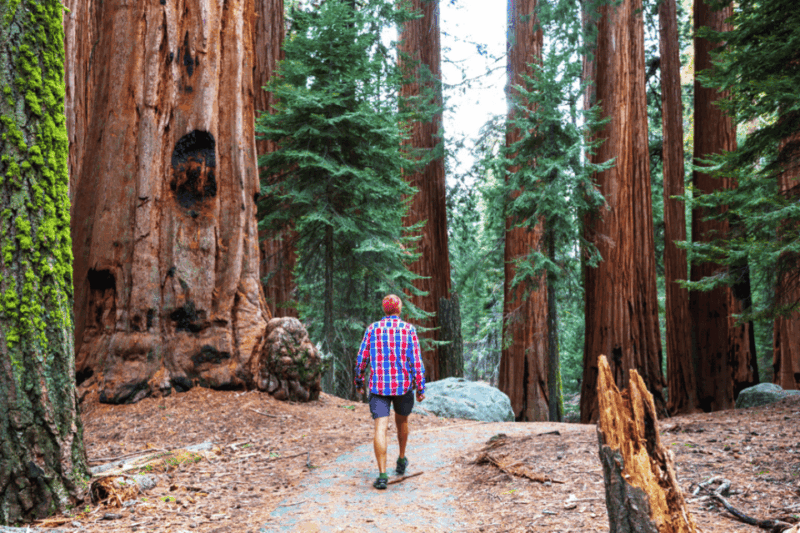 San Francisco: Bike Tour with Muir Woods and Sausalito Visit - FAQ