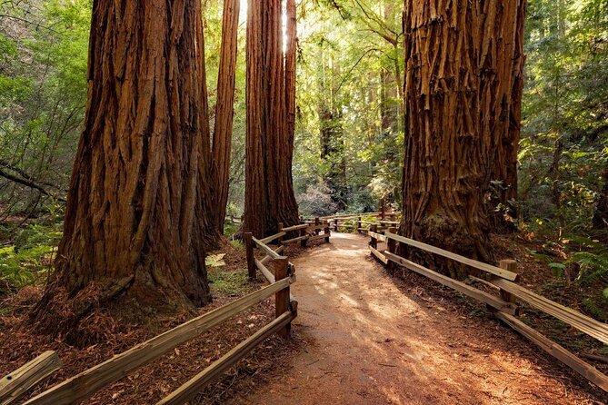 San Francisco: Guided Tour of Coastal Redwoods & Wine Country - An In-Depth Look at the San Francisco Guided Tour of Coastal Redwoods & Wine Country