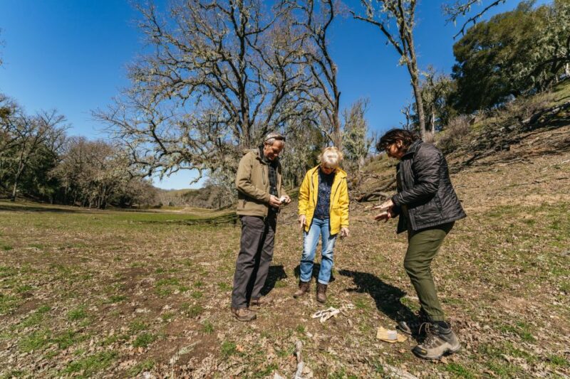 San Luis Obispo: Santa Lucia Guided Nature Tour - Key Points