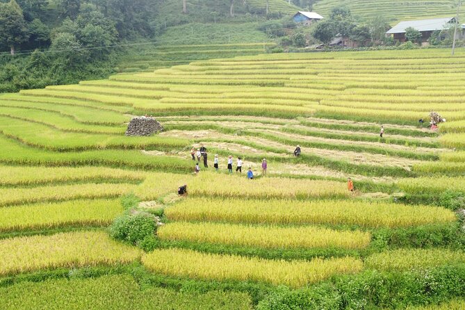 Sapa Journey 3D2N: 3 Star Hotel Stay & Village Homestay - Key Points