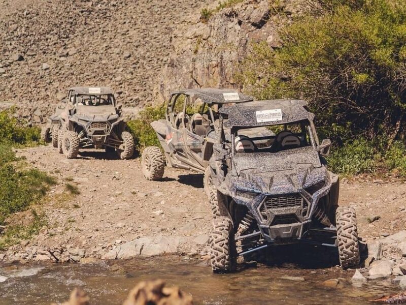 Silverton: Full-Day ATV Adventure - Key Points: