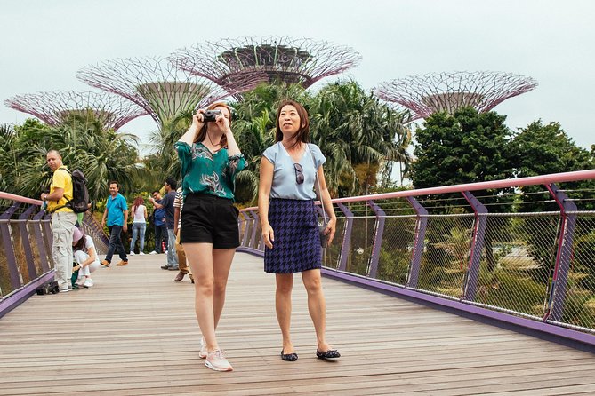 Singapore PRIVATE TOUR: Highlights & Hidden Gems by CAR or Foot - Key Points