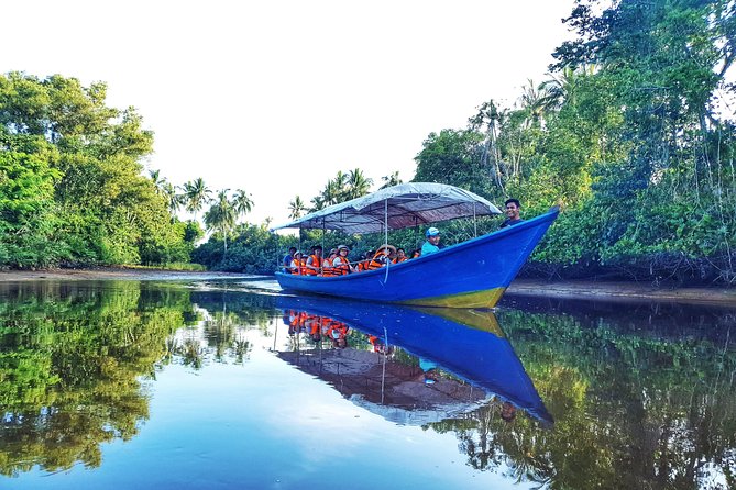 Sky-Mirror Photographing and Proboscis Monkey & Fireflies Watching River-Cruise - What the Tour Is All About