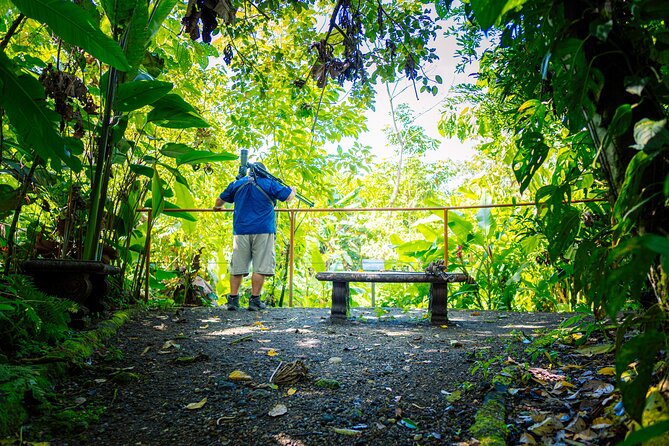 Sloth Tour in La Fortuna and Tortillas Cooking Class - Key Points