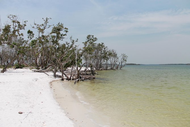 Small Group Motorboat Eco Tour of the Everglades - Key Points