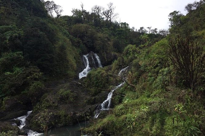 Small-Group Road to Hana Adventure Tour with Pickup & Lunch - Introduction to the Tour Experience