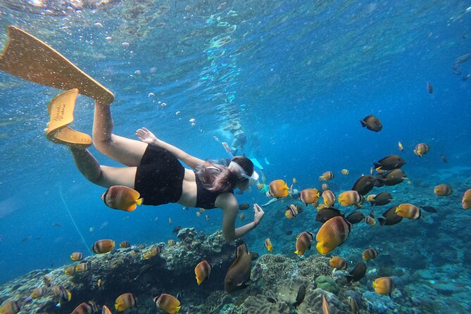 Snorkeling Day Trip To Lembongan and Penida - Snorkeling Day Trip To Lembongan and Penida: An Honest Review