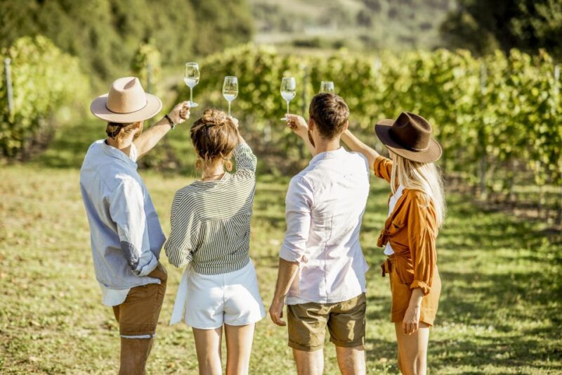 Sonoma Valley: Guided Winery Tour with Picnic Lunch - Key Points