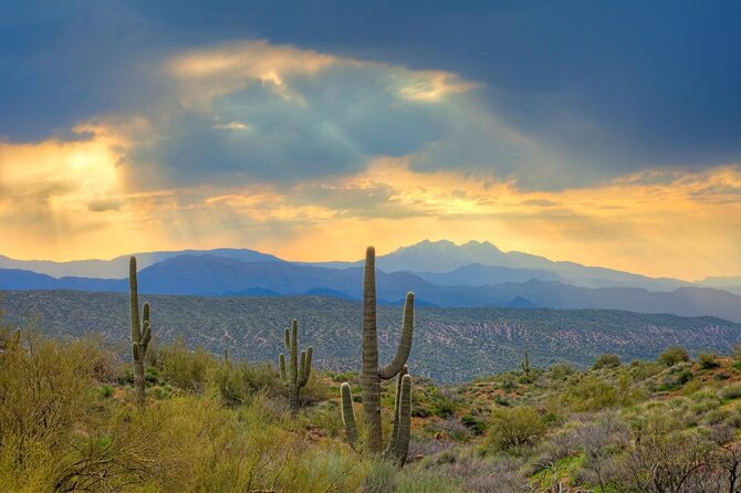 Sonoran Desert UTV Sand Buggy Off-Road Adventure, Scottsdale - Introduction: A Guided Off-Road Adventure in Scottsdale
