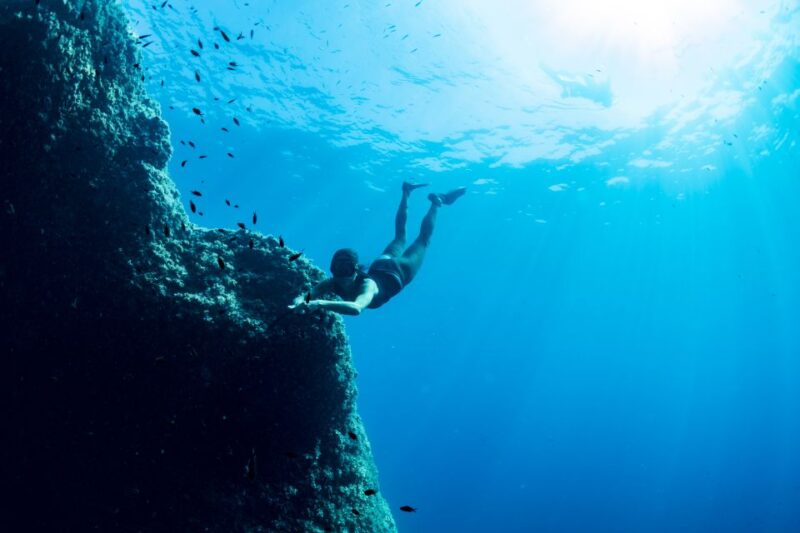 Sorrento: Snorkeling Morning Tour With a Marine Biologist. - Key Points