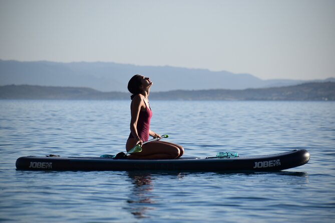 Stand Up Paddle With Dolphins, aperitif and pictures - A Practical Dive into the Experience
