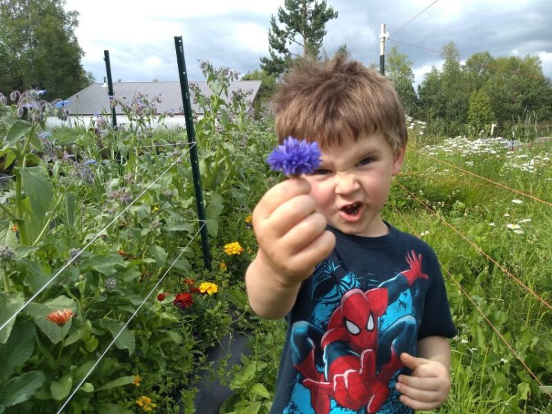 Talkeetna: The Reindeer Grove Homestead Tour and Forage - Talkeetna: The Reindeer Grove Homestead Tour and Forage — A Genuine Taste of the North