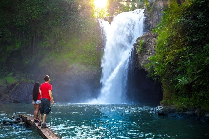 Tanah Lot Tour with Ubud Monkey Forest, Rice Terraces, and Waterfalls - What to Expect from the Tour: A Deep Dive into Bali’s Highlights