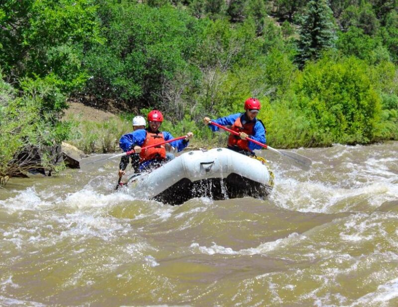Telluride Afternoon Half Day Rafting Trip - San Miguel River - Key Points