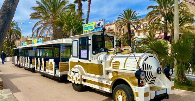 The Little Train of Lavandous Beaches - Key Points
