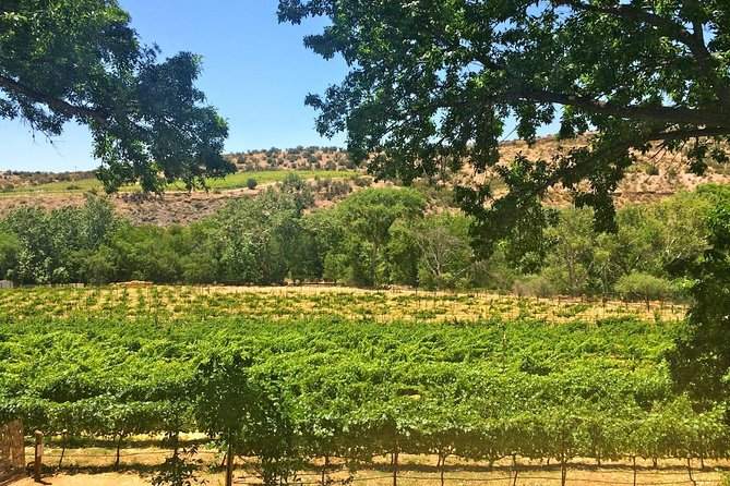 The Original 4 Winery Tour with Charcuterie - An In-Depth Look at the Tour Itinerary
