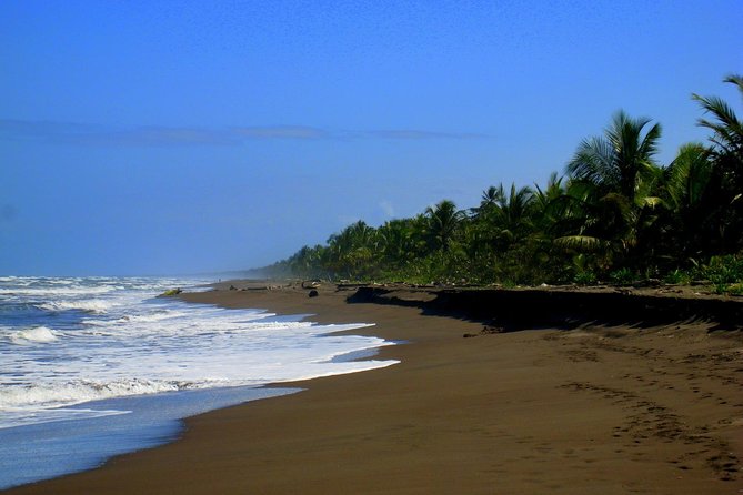 Tortuguero National Park and Canals Day Trip From San Jose - Inclusions and Logistics