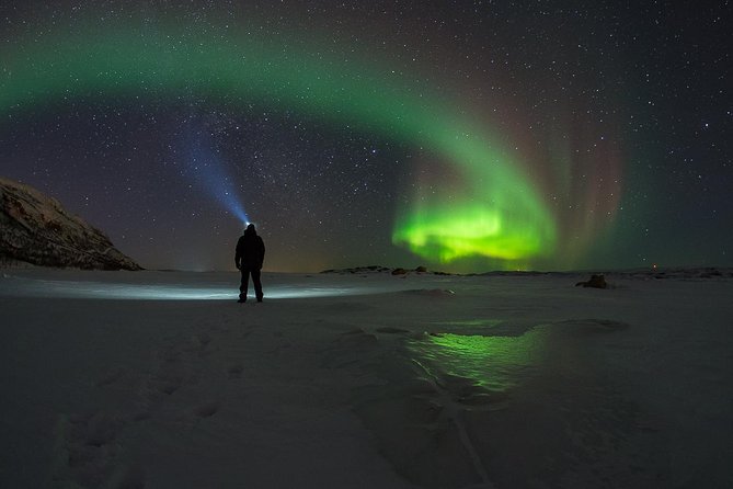 Tromso Northern Light Chase in Minibus Tour With Campfire - Key Points