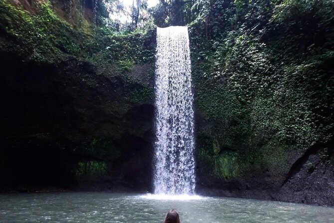Ubud Waterfalls, Rice Terrace & Jungle Swing - Private Tour - Key Points