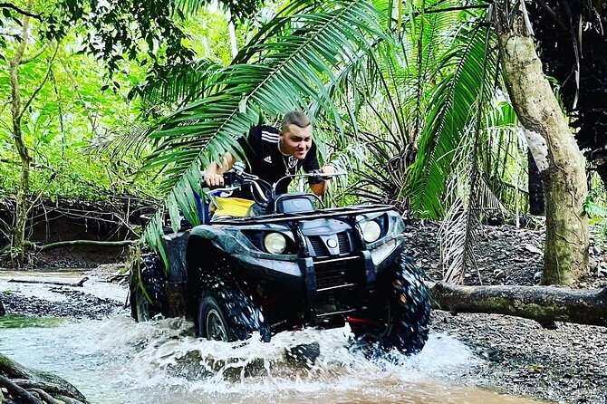 Unique 4 Wheels Tour for Families on a Private Pineapple Farm - Key Points