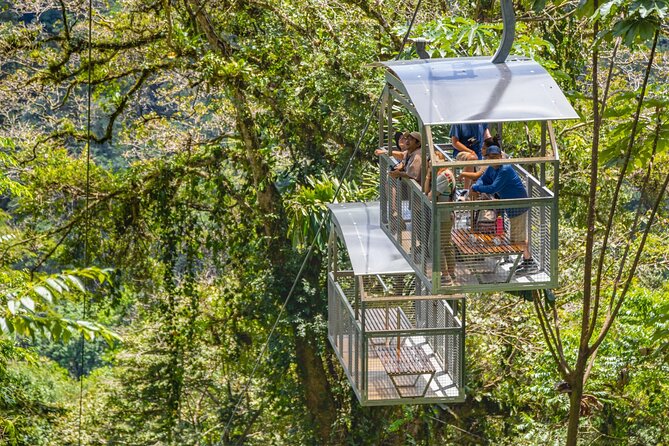 Veragua Rainforest Walk, Tram & Tortuguero Boat Tour. Limon Shore Excursion - Key Points