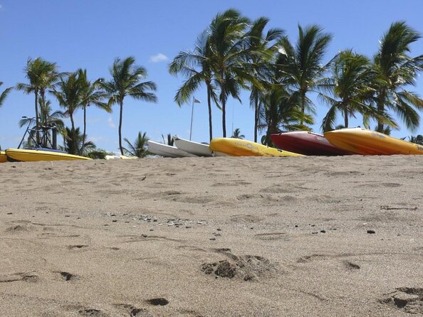 Wake up With the Whales Cruise From Anaehoomalu Bay - Key Points