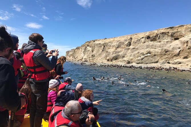 Walk Alongside Penguins on Magdalene Island and Navigate Marta Island - Meeting and End Points