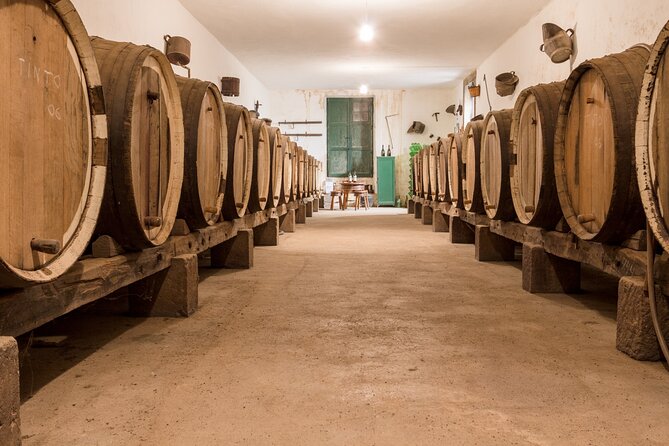 Winery Tour, Wine Museum, and Tasting in Gran Canaria - Overview of the Winery Tour and Experience