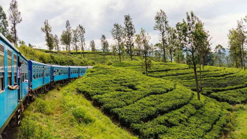 09 Days Heritage Trails of Sri Lanka - Key Points
