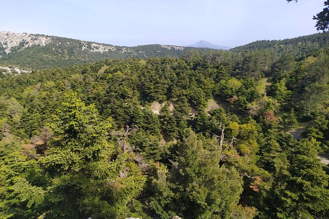 1 Day Parnitha Athens Private Hiking Tour with Hotel Pickup - Key Points