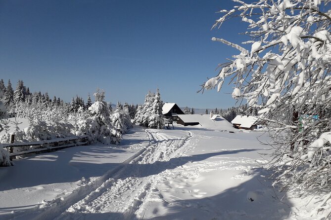 1-day Private Snowshoe Hike in the Gorce Mountains near Krakow - Key Points